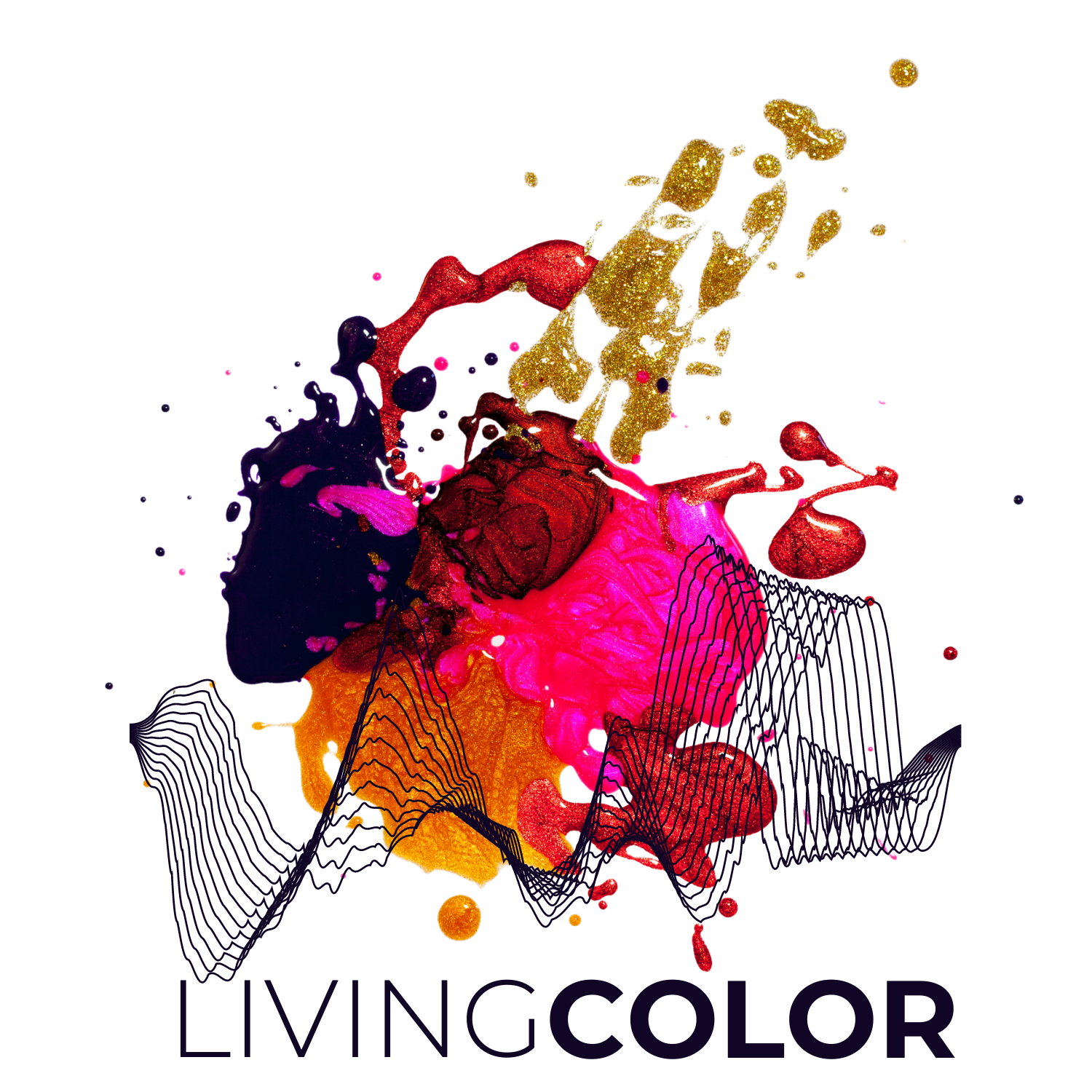 Sonic Springs Artist FAQ – Living Color